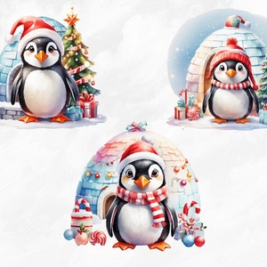 Watercolor Igloo Penguin Collection Clipart, 11 PNG Christmas Penguin ...