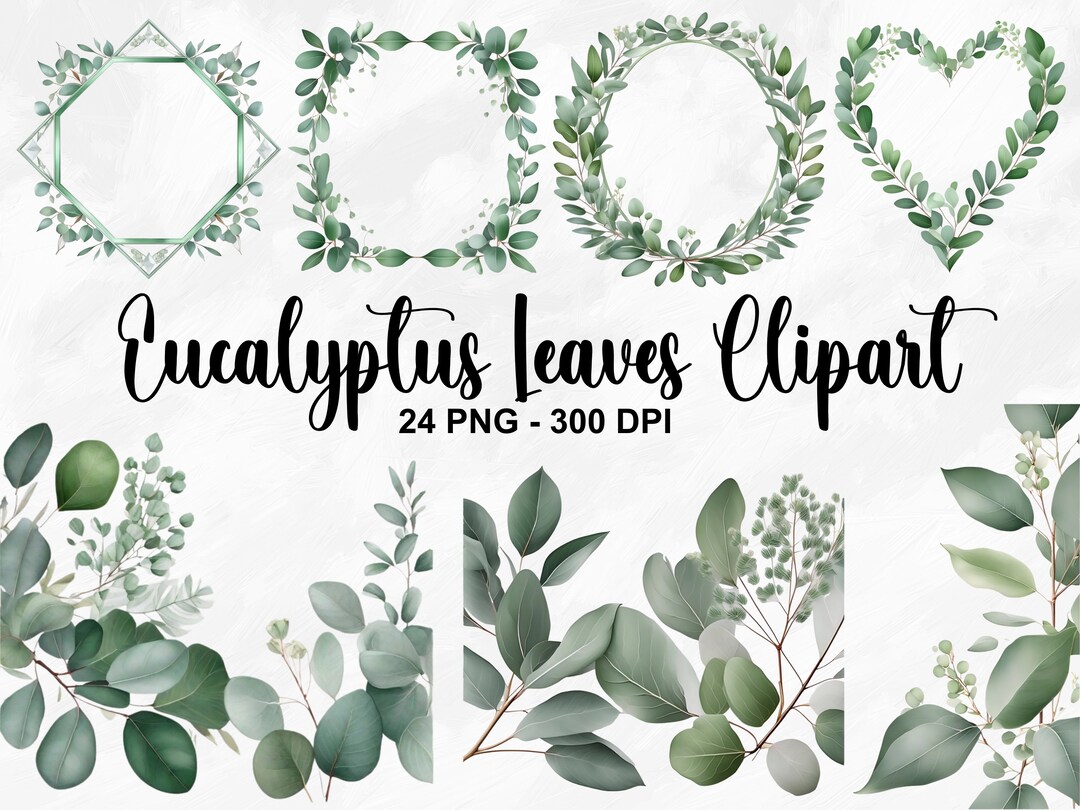 Watercolor Eucalyptus Leaves Clipart, 24 PNG Green Leaves Clipart ...