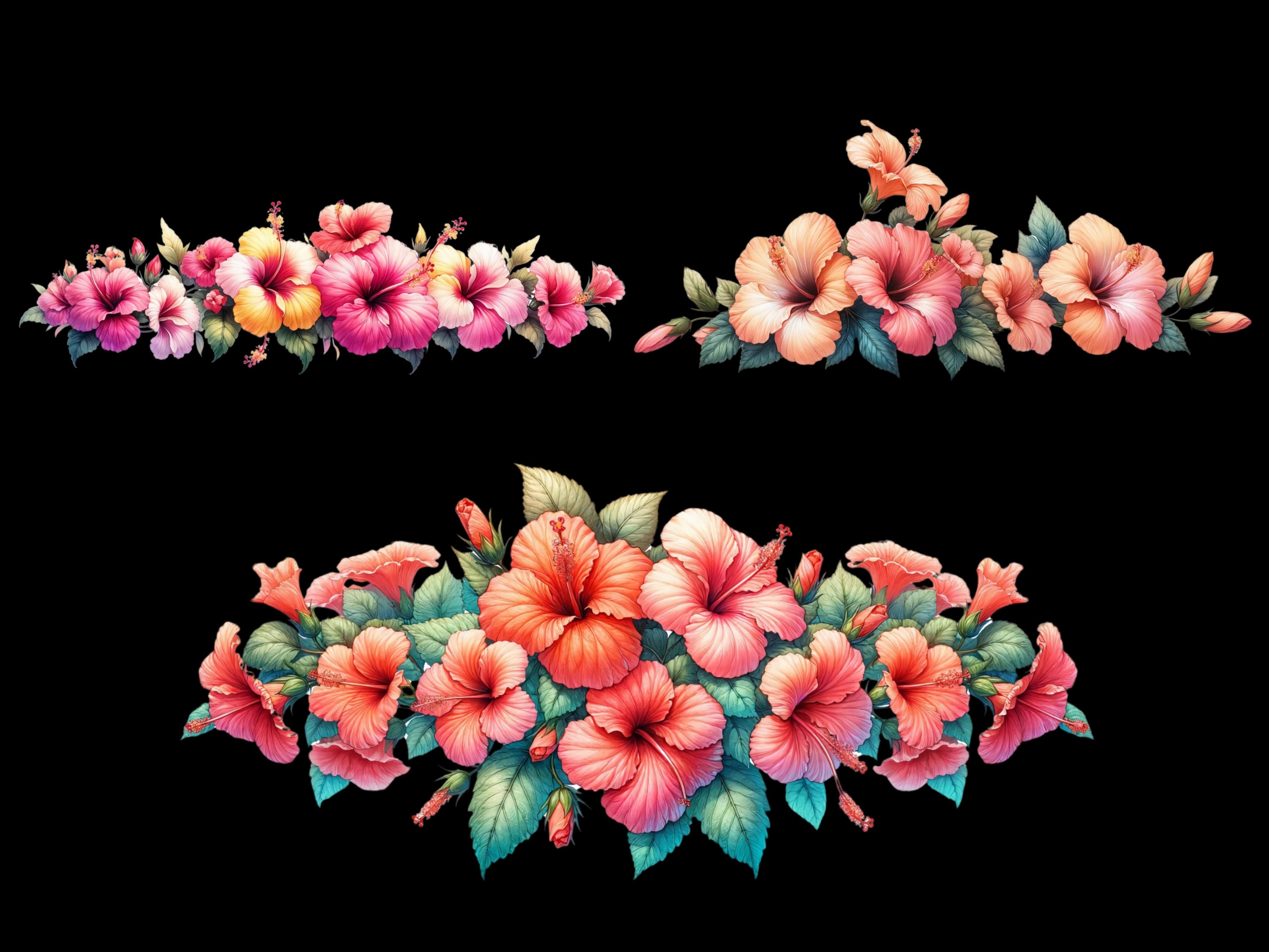 Watercolor Hibiscus Flower Borders Clipart, 12 PNG Summer Flowers ...