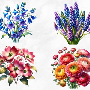 Watercolor Spring Flower Collection Clipart, 25 PNG Floral Clipart ...