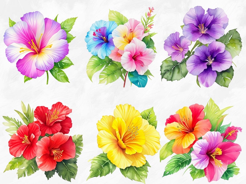 Watercolor Hibiscus Flowers Clipart, 30 PNG Hibiscus Clip Art, Hawaiian ...