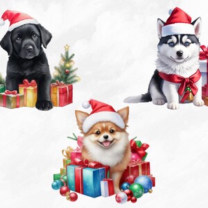 Watercolor Christmas Puppy Clipart, 16 PNG Christmas Puppies Clipart ...