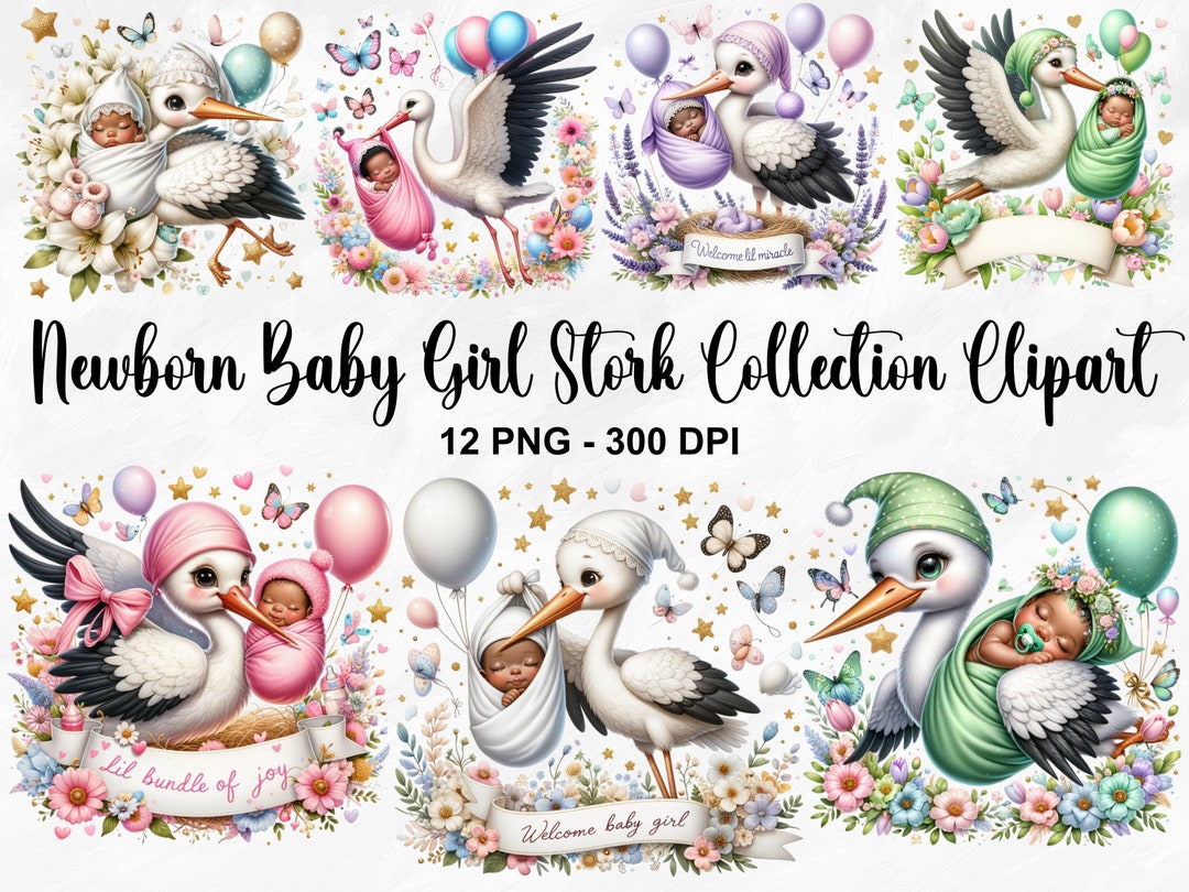 Watercolor Newborn Baby Girl Stork Collection Clipart, 12 PNG Stork ...