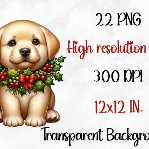 Watercolor Christmas Puppy Collection Clipart, 22 PNG Cute Puppy ...