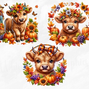 Watercolor Autumn Highland Cows Clipart, 15 PNG Fall Clipart, Pumpkin ...