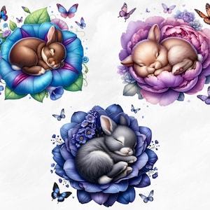Watercolor Sleeping Baby Bunny Clipart, 18 PNG Bunny Graphics Clipart ...