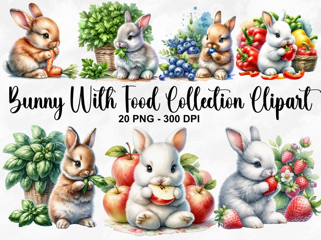 Watercolor Bunny With Food Collection Clipart, 20 PNG Bunny Clipart ...