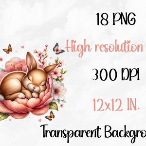 Watercolor Sleeping Baby Bunny Clipart, 18 PNG Bunny Graphics Clipart ...