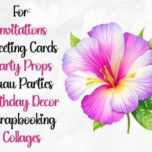 Watercolor Hibiscus Flowers Clipart, 30 PNG Hibiscus Clip Art, Hawaiian ...