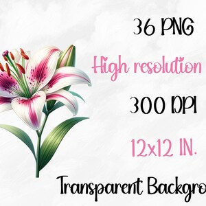 Watercolor Birth Month Flowers Clipart, 36 PNG Birth Month Flower ...