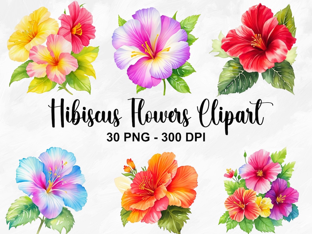 Watercolor Hibiscus Flowers Clipart, 30 PNG Hibiscus Clip Art, Hawaiian ...