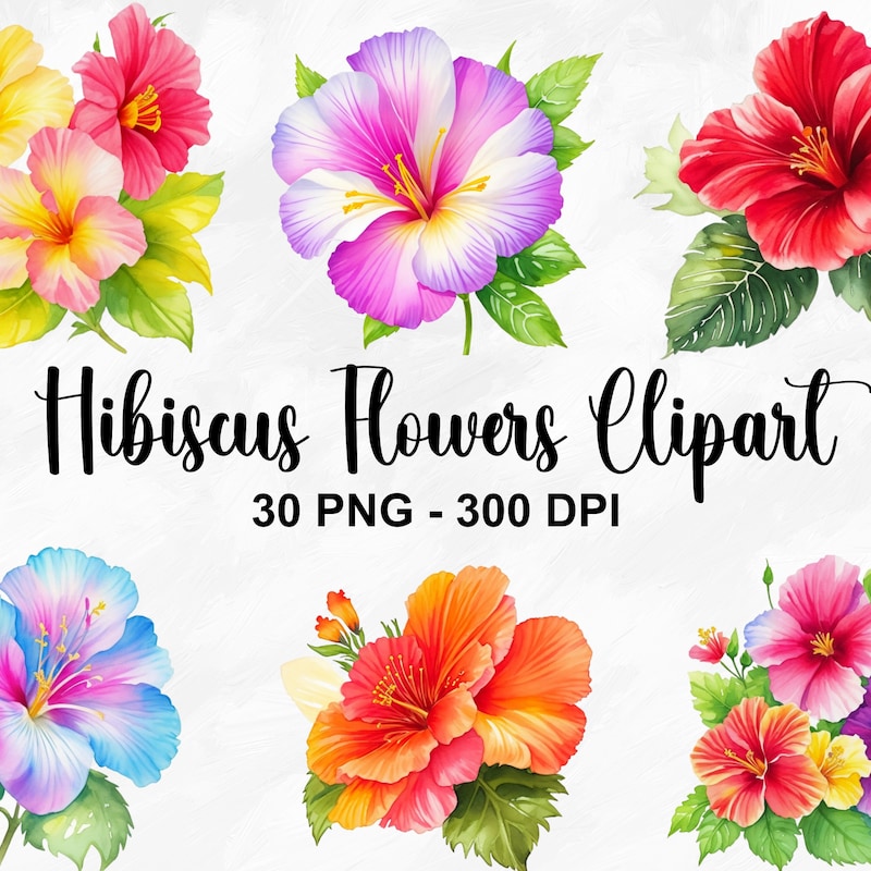 Hibiscus Clip Art - Etsy