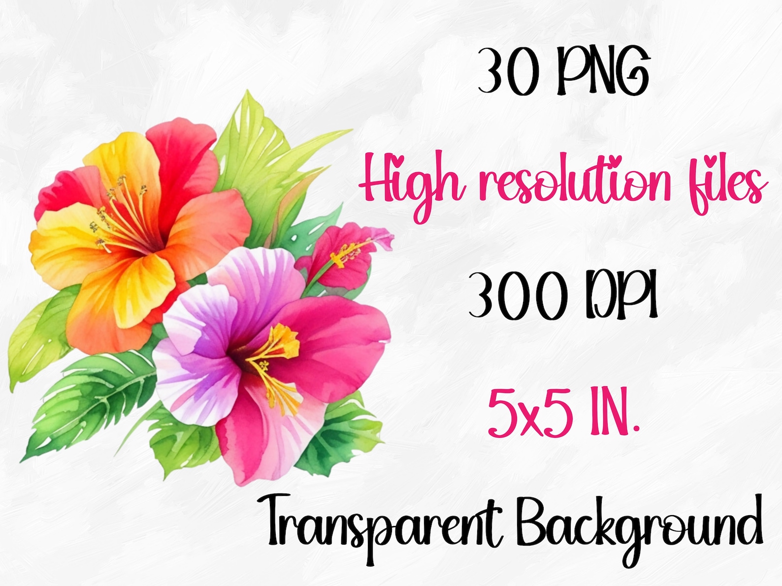 Watercolor Hibiscus Flowers Clipart, 30 PNG Hibiscus Clip Art, Hawaiian ...