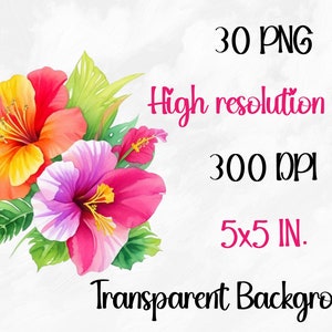 Watercolor Hibiscus Flowers Clipart, 30 PNG Hibiscus Clip Art, Hawaiian ...