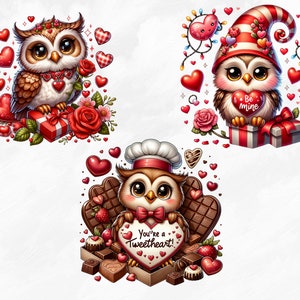 Watercolor Cute Valentines Owl Clipart, 15 PNG Valentines Day Clipart ...