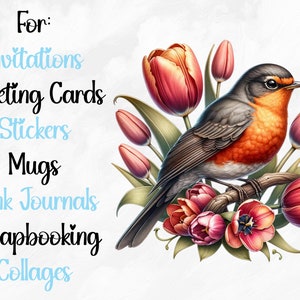 Watercolor Spring Birds Collection Clipart, 18 PNG Birds Clipart ...