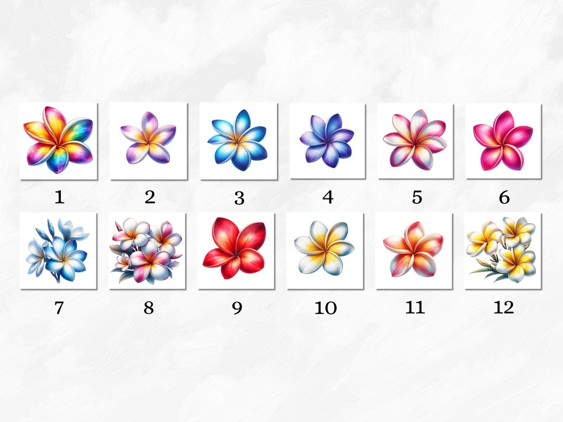 Watercolor Plumeria Flower Collection Clipart, 12 PNG Summer Flowers ...