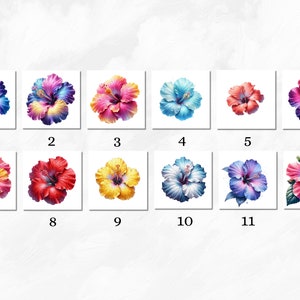 Watercolor Hibiscus Collection Clipart, 12 PNG Tropical Flower Clipart ...