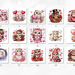 Watercolor Cute Valentines Owl Clipart, 15 PNG Valentines Day Clipart ...