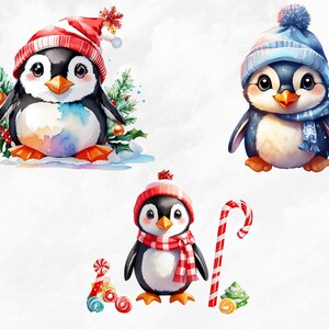 Watercolor Cute Penguin Collection Clipart, 15 PNG Christmas Penguin ...