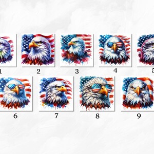 Watercolor Eagle Flag Collection Clipart, 9 PNG 4th of July Eagle ...
