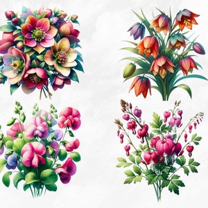 Watercolor Spring Flower Collection Clipart, 25 PNG Floral Clipart ...