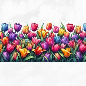 Watercolor Tulip Borders Collection Clipart, 9 PNG Flowers Clipart ...