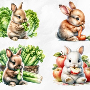 Watercolor Bunny With Food Collection Clipart, 20 PNG Bunny Clipart ...