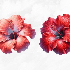 Watercolor Hibiscus Collection Clipart, 12 PNG Tropical Flower Clipart ...