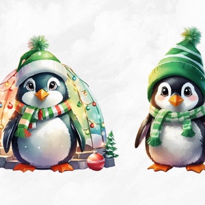Watercolor Igloo Penguin Collection Clipart, 11 PNG Christmas Penguin ...