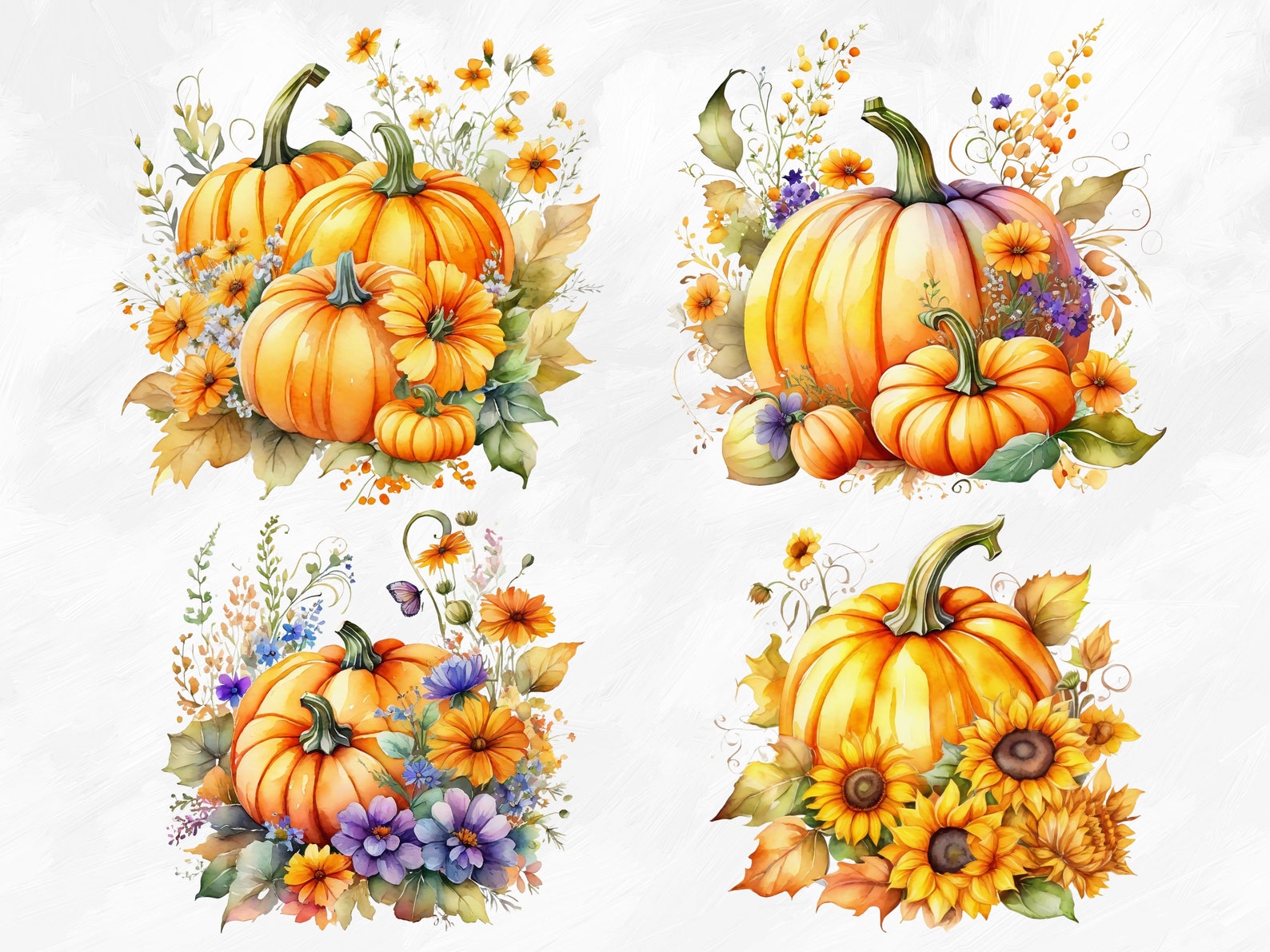 Watercolor Floral Pumpkins Clipart 19 PNG Floral Pumpkins - Etsy