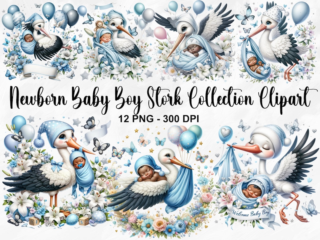Watercolor Newborn Baby Boy Stork Collection Clipart, 12 PNG Stork Baby ...