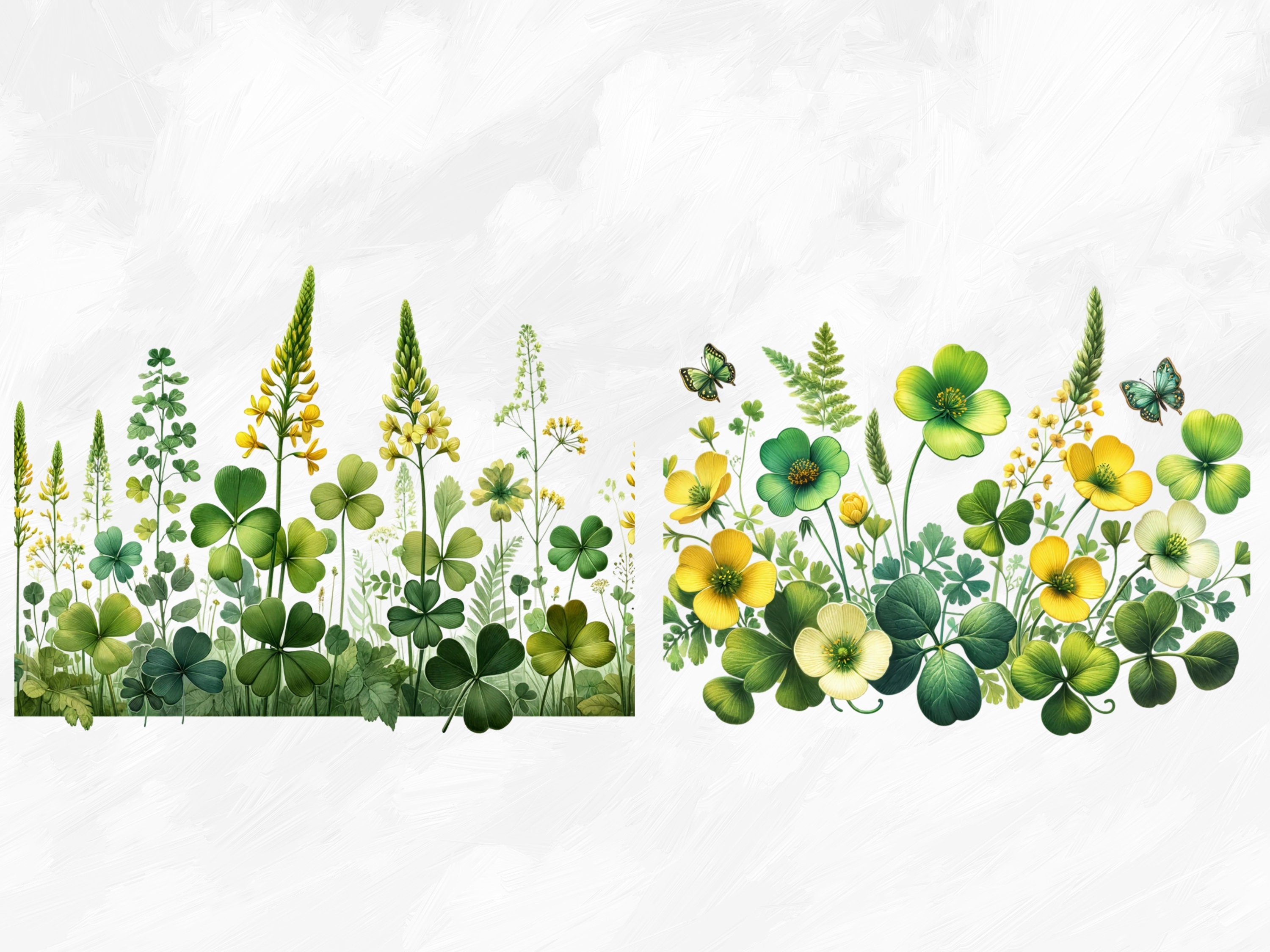 Watercolor St Patricks Wildflower Clipart, 11 PNG St Patricks Day ...