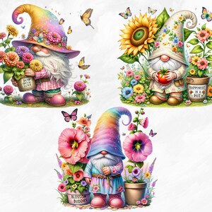 Watercolor Spring Garden Gnomes Clipart, 11 PNG Garden Gnome Clipart ...