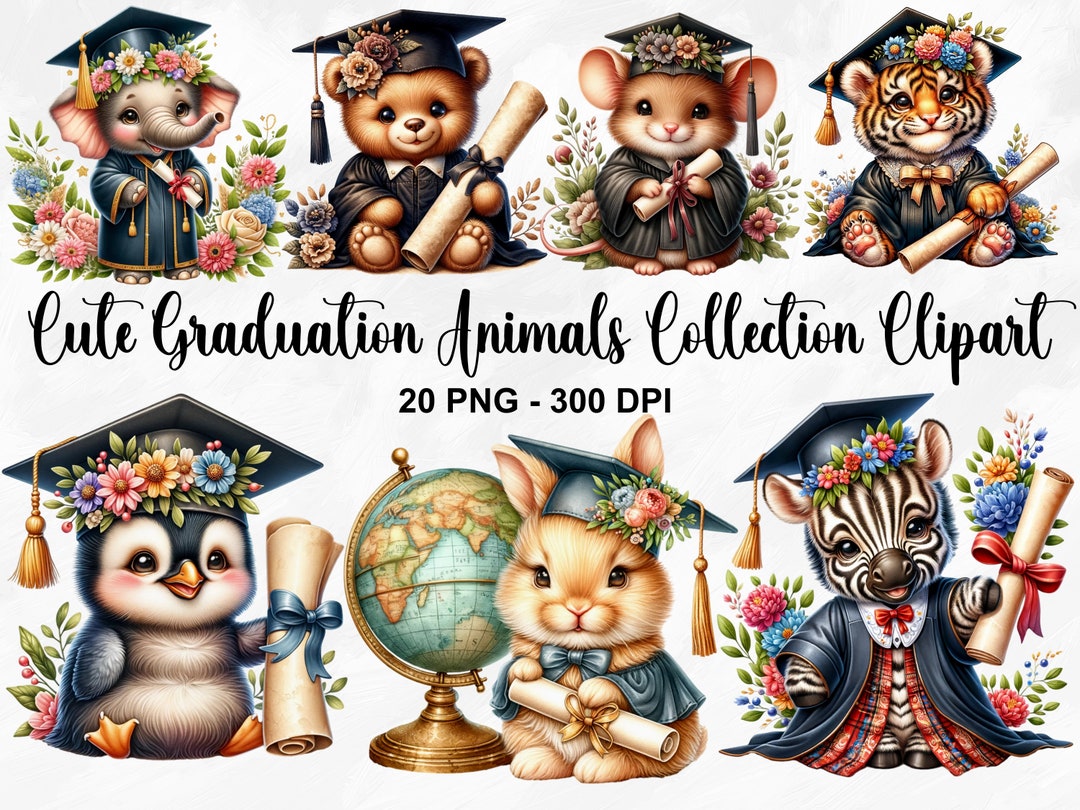 Watercolor Cute Graduation Animals Clipart, 20 PNG Teddy Bear Clipart ...