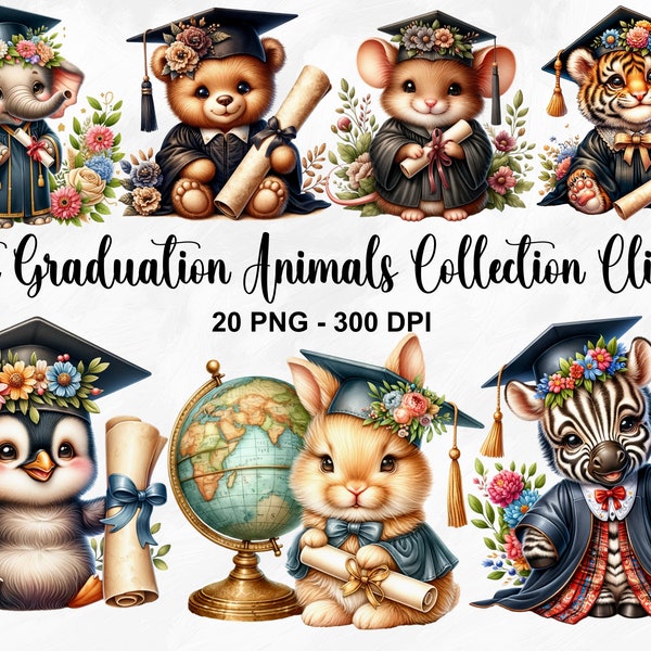 Graduation Bear Clipart - Etsy