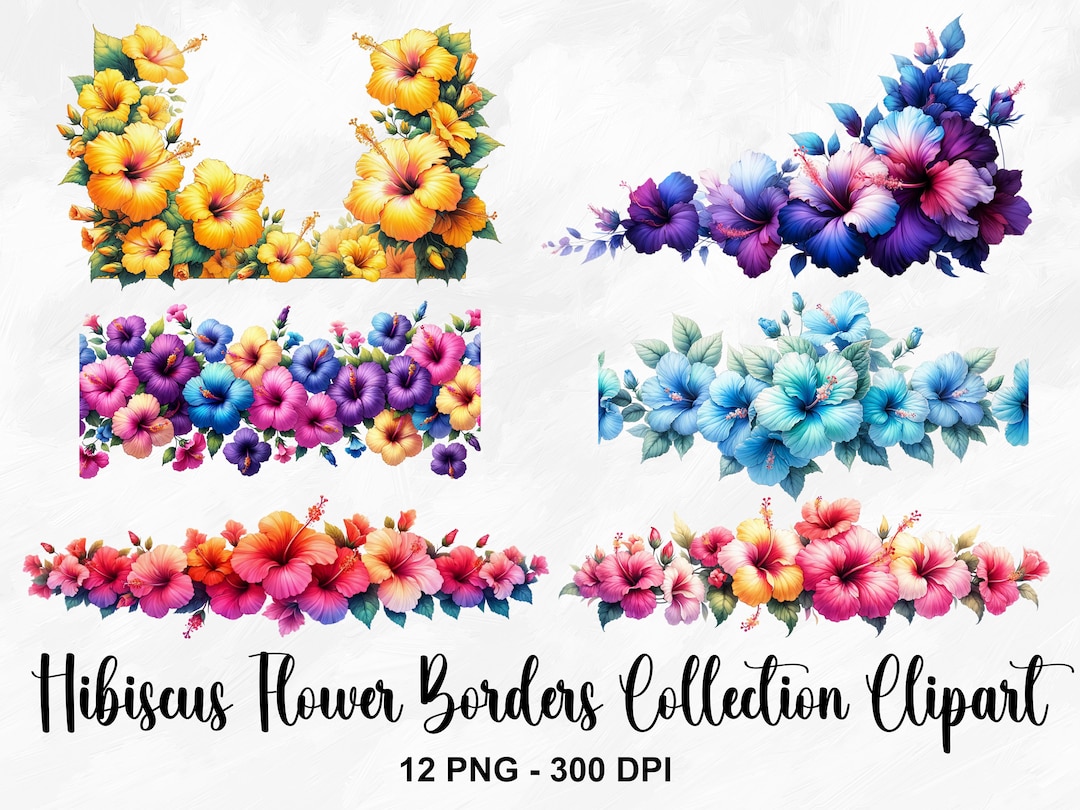 Watercolor Hibiscus Flower Borders Clipart, 12 PNG Summer Flowers ...