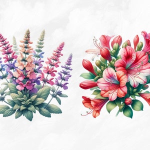 Watercolor Spring Flowers Clipart, 12 PNG Floral Clipart, Spring Floral ...