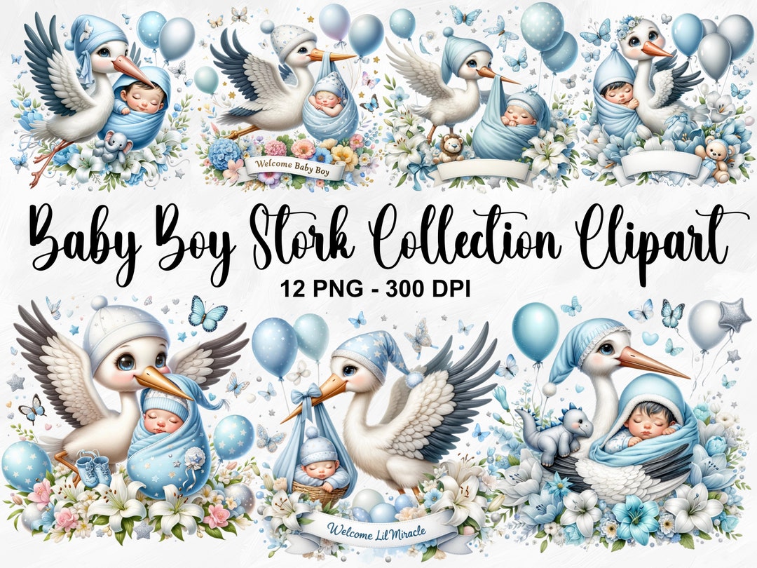 Watercolor Baby Boy Stork Collection Clipart, 12 PNG Stork Baby Boy ...