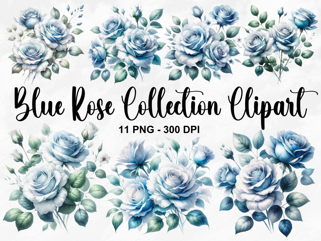 Watercolor Blue Rose Collection Clipart, 11 PNG Rose Bouquet Clipart ...
