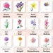 Watercolor Boho Birth Month Flowers Clipart, 12 PNG Birth Month Flowers ...