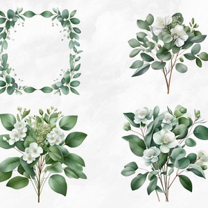 Watercolor Eucalyptus Leaves Clipart, 24 PNG Green Leaves Clipart ...