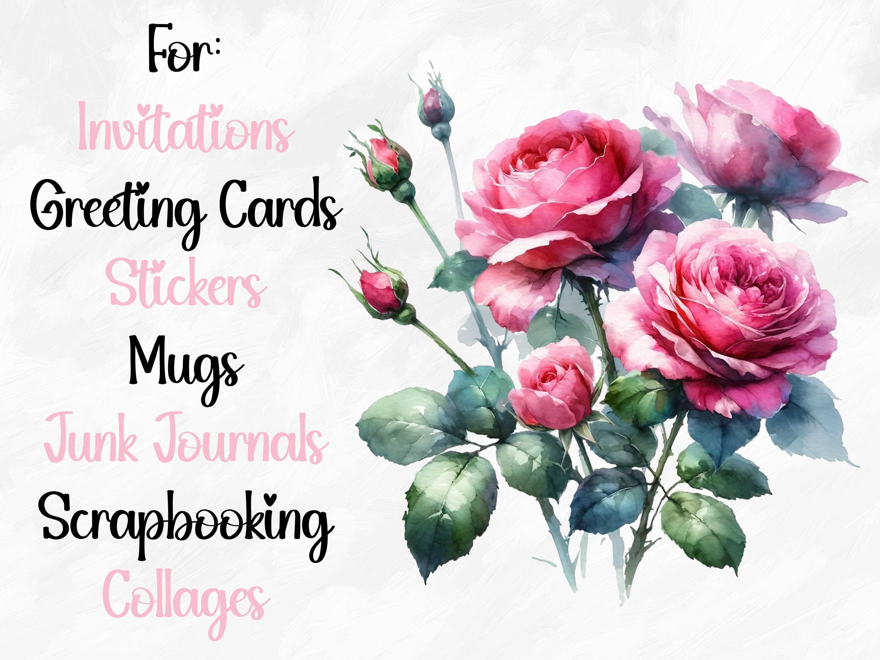 Watercolor Pink Roses Collection Clipart, 11 PNG Floral Clipart, Spring ...