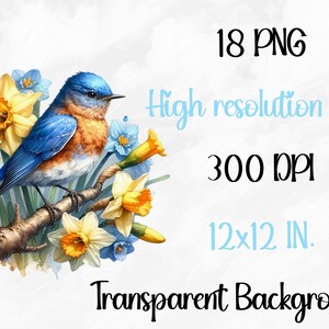 Watercolor Spring Birds Collection Clipart, 18 PNG Birds Clipart ...