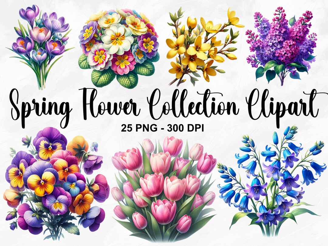 Watercolor Spring Flower Collection Clipart, 25 PNG Floral Clipart ...