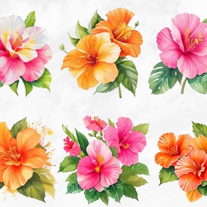Watercolor Hibiscus Flowers Clipart, 30 PNG Hibiscus Clip Art, Hawaiian ...