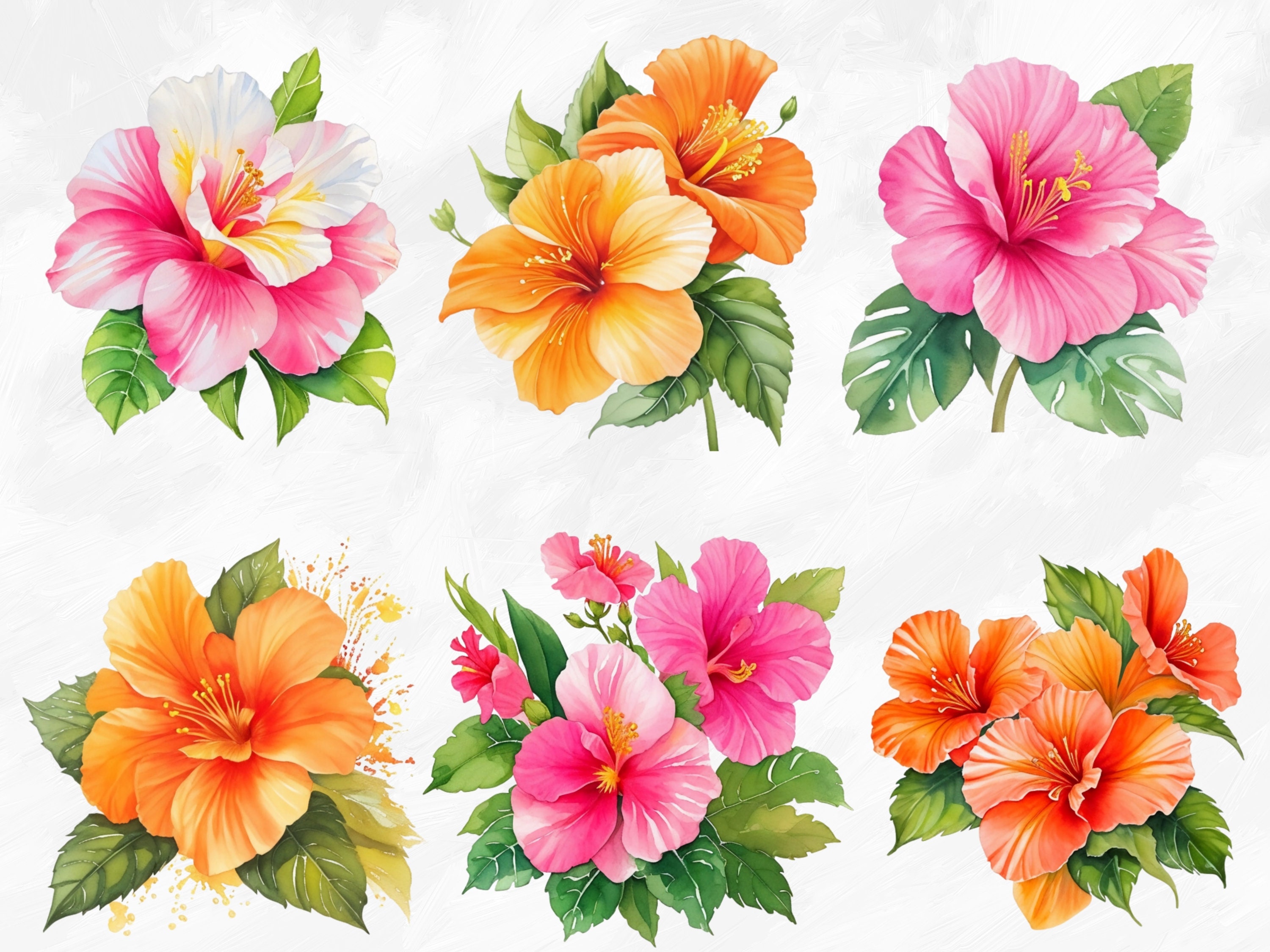 Watercolor Hibiscus Flowers Clipart, 30 PNG Hibiscus Clip Art, Hawaiian ...
