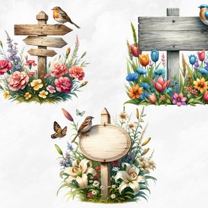 Watercolor Garden Signs Collection Clipart, 11 PNG Summer Clipart ...