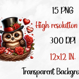Watercolor Cute Valentines Owl Clipart, 15 PNG Valentines Day Clipart ...