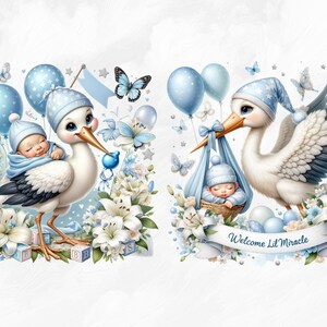 Watercolor Baby Boy Stork Collection Clipart, 12 PNG Stork Baby Boy ...